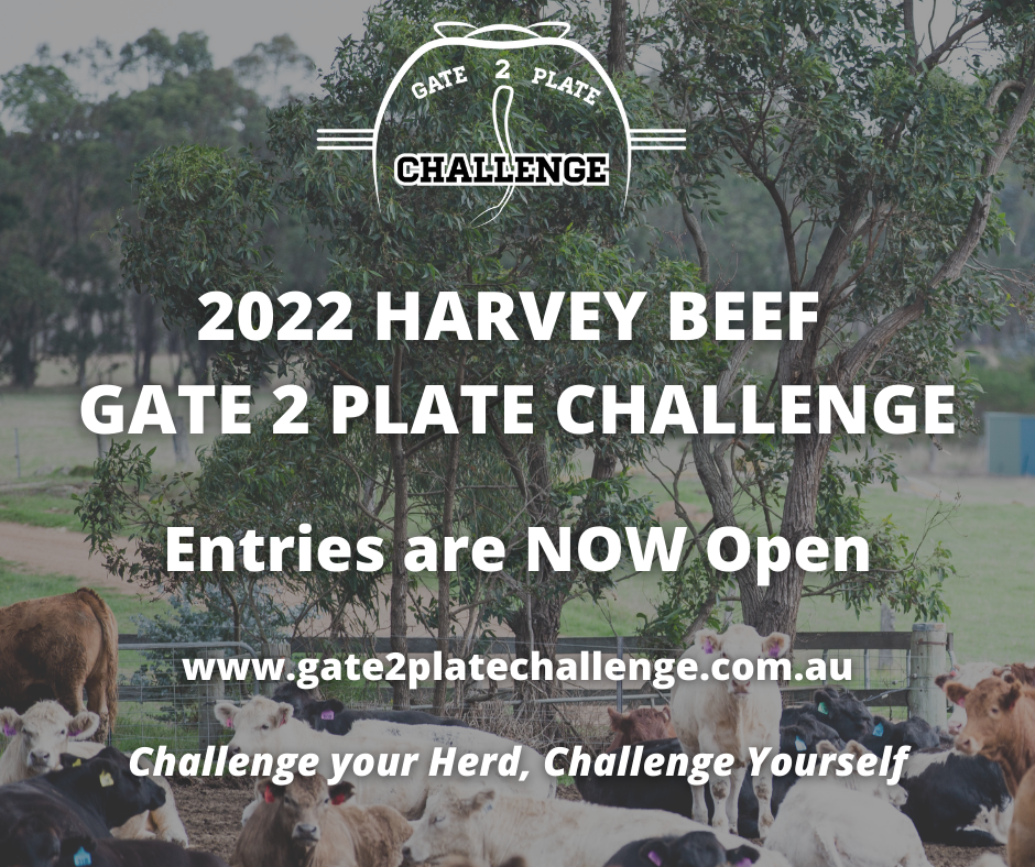 Entries are open for the 2022 Harvey Beef Gate 2 Plate Challenge - Gate ...